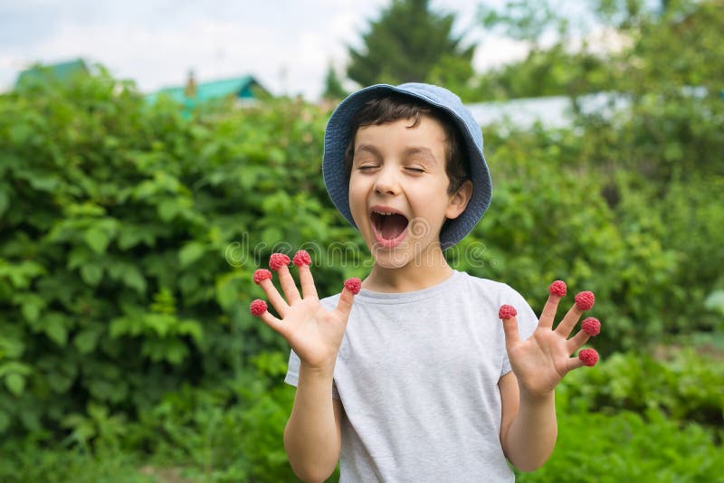Cute Little Boy Glad To Have a Many Berries Stock Photo - Image of cute ...
