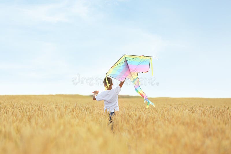 Cute Little Boy with Kite in Field Stock Photo - Image of childhood ...