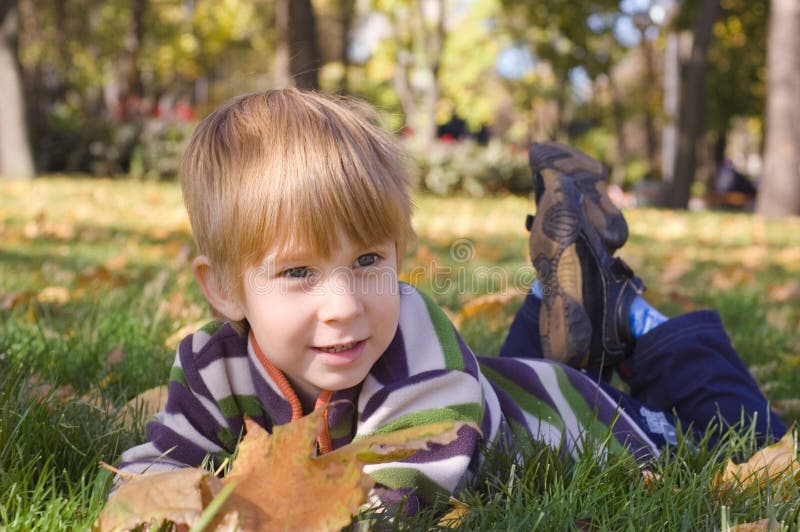 Cute Little Boy Lies on a Fall Lawn Stock Photo - Image of maple, cute ...