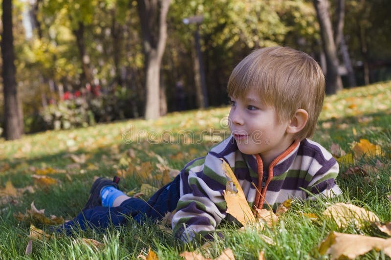 Cute Little Boy Lies on a Fall Lawn Stock Photo - Image of blond ...