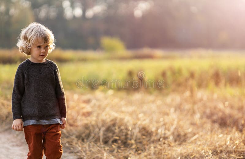 Cute Little Boy Outdoor in the Fields Stock Photo - Image of carefree ...