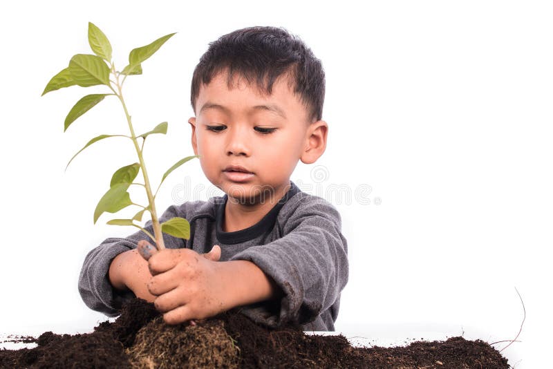 251 Cute Little Boy Planting Tree Stock Photos - Free & Royalty-Free ...