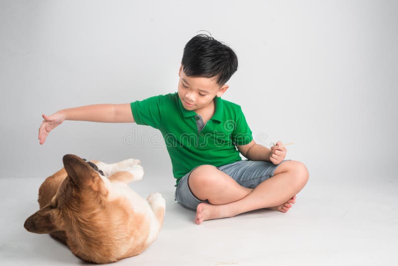 Cute Little Boy Playing with Dog at Home Stock Image - Image of gaming ...