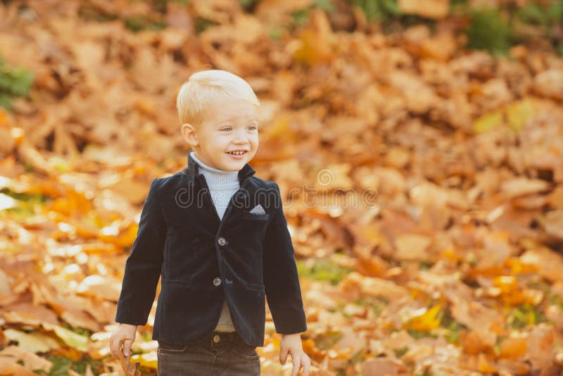 Cute Little Boy Playing with Leaves in Autumn Park, Outdoors Fall Day ...