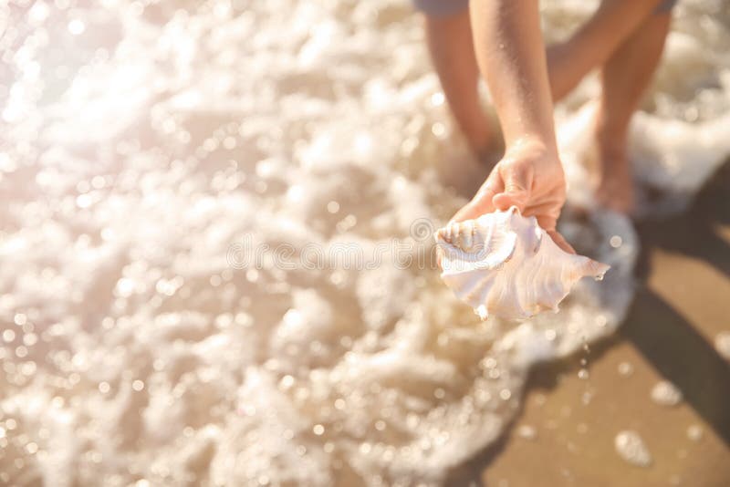 Cute Little Boy with Sea Shell on Beach Stock Photo - Image of shell ...