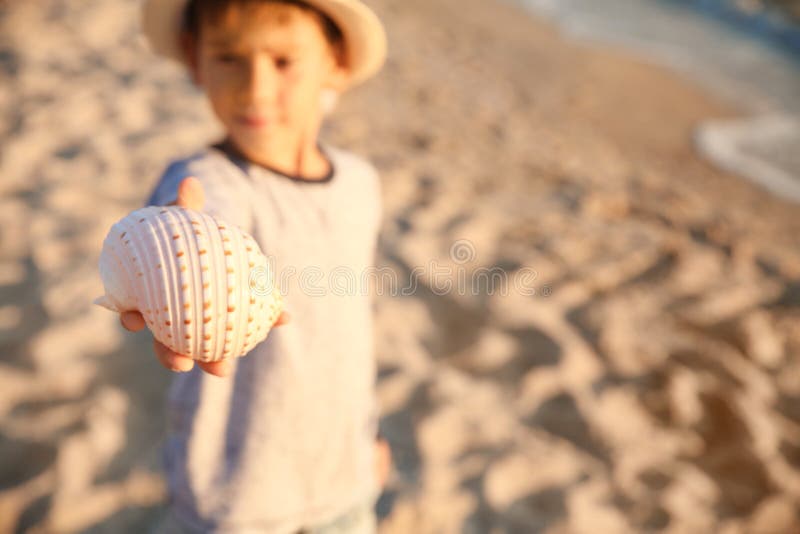 Cute Little Boy with Sea Shell on Beach Stock Photo - Image of child ...