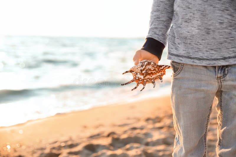 Cute Little Boy with Sea Shell on Beach, Closeup Stock Image - Image of ...