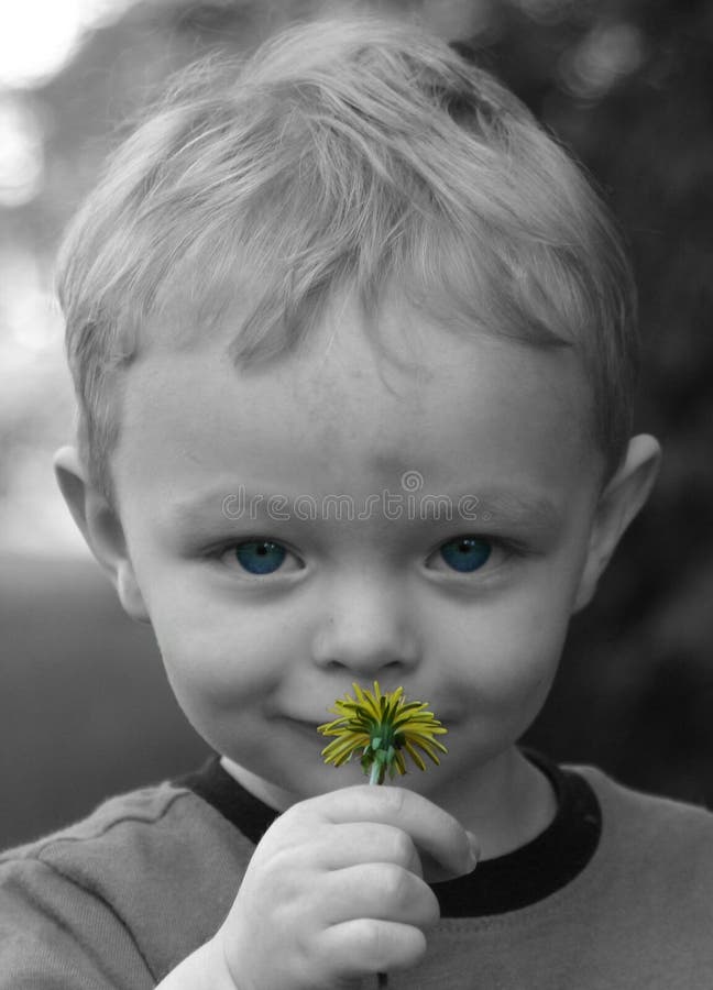 Cute Little Boy Smelling Flowe Stock Photos - Free & Royalty-Free Stock ...