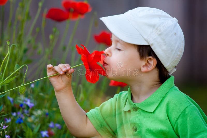Cute Little Boy Smells a Wild Flower Stock Image - Image of flower ...