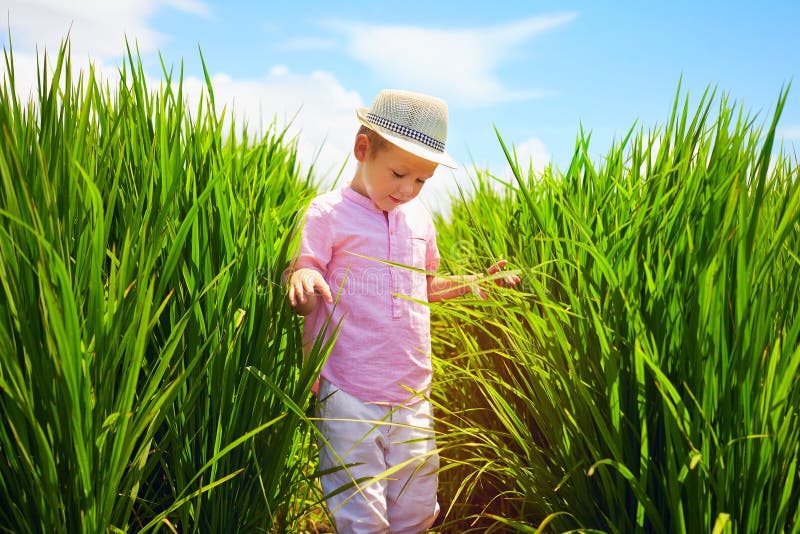 Cute Little Boy Walking Rice Field Stock Photos - Free & Royalty-Free ...