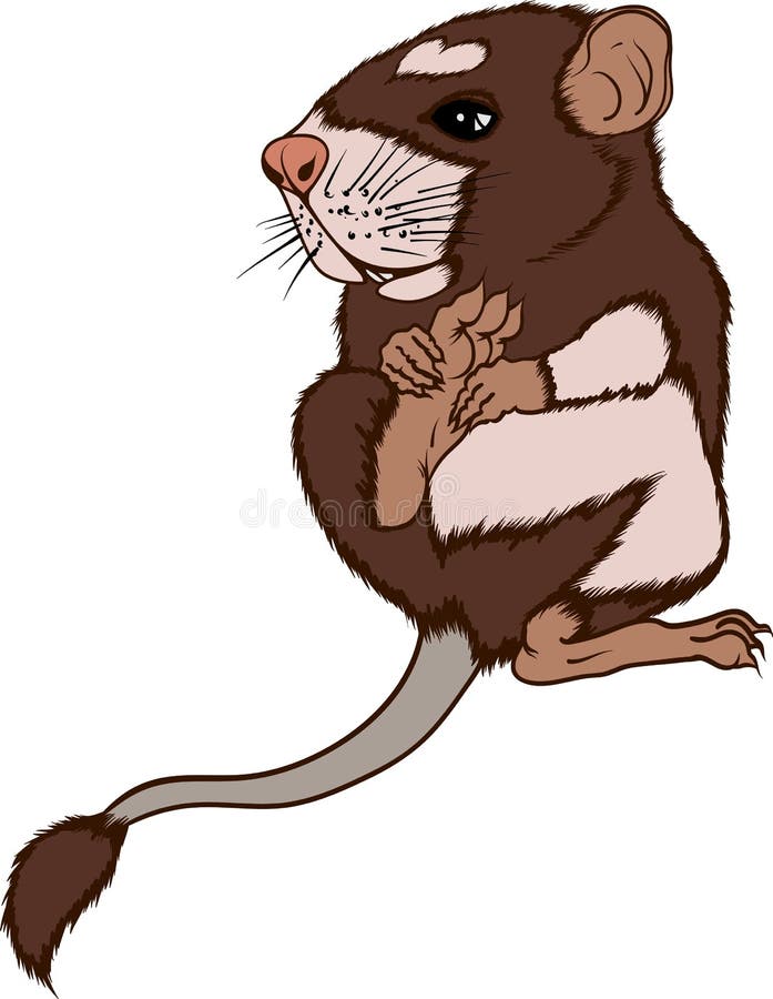 Field Mouse Standing on Hind Legs, Adorable Red Rodent Animal Vector ...