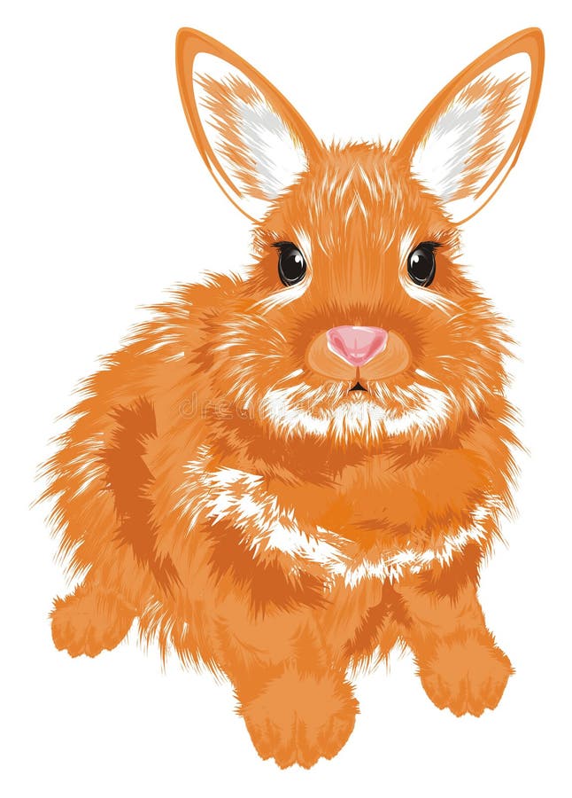 Orange Bunny.Papakovka for Gifts. Stock Illustration - Illustration of ...