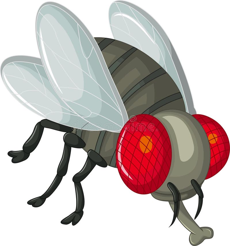 Cute little cartoon flies stock illustration. Illustration of typhoid ...