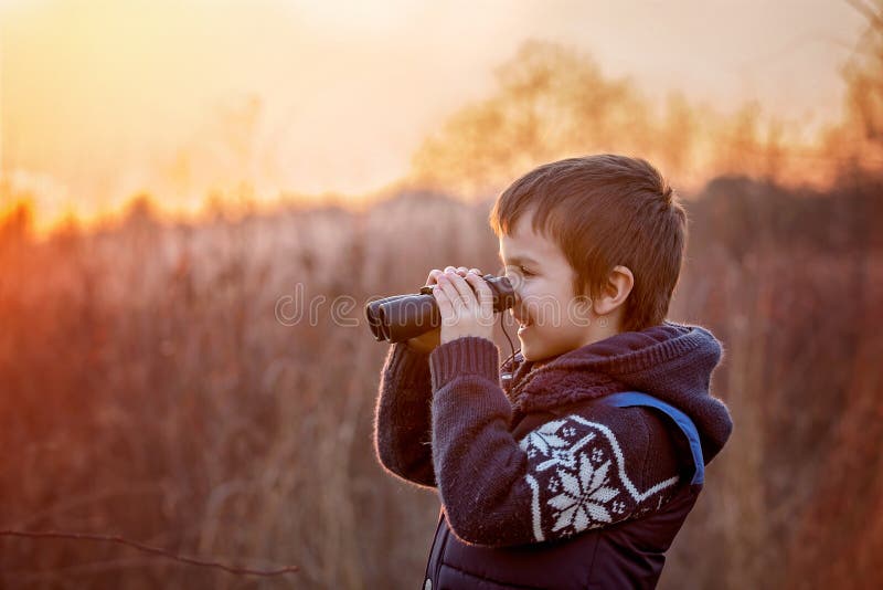 Little Boy Exploring at Sunset Stock Photo - Image of child, reeds: 8775670