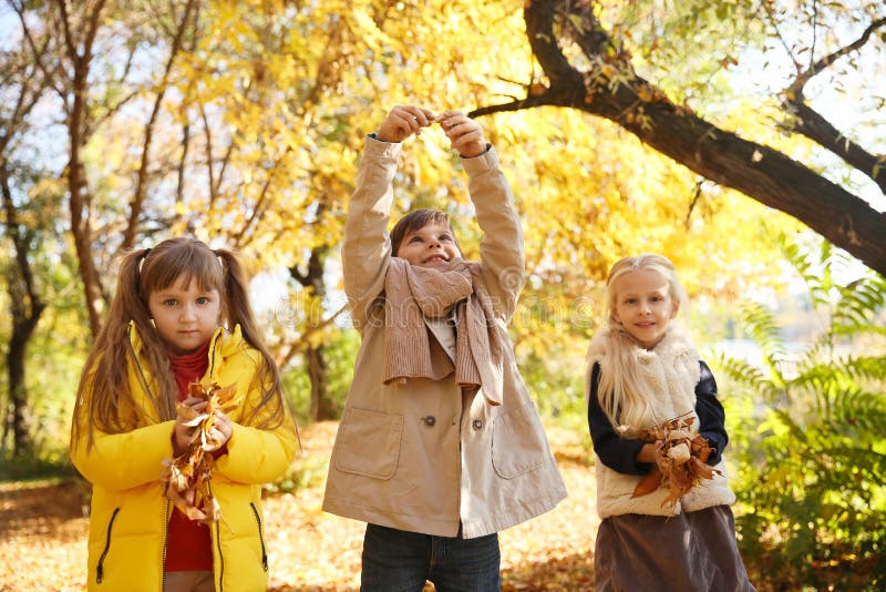 Cute Little Children in Autumn Park Stock Photo - Image of portrait ...