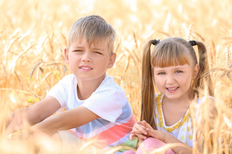 Children in wheat field stock image. Image of active - 26113903