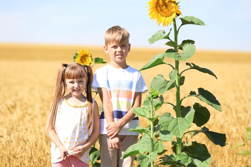 Children in wheat field stock image. Image of active - 26113903