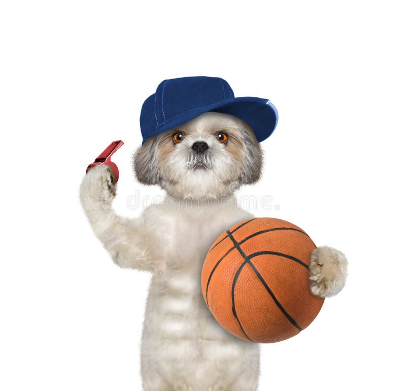 Cute Basketball Nail Ideas Stock Photos - Free & Royalty-Free Stock ...