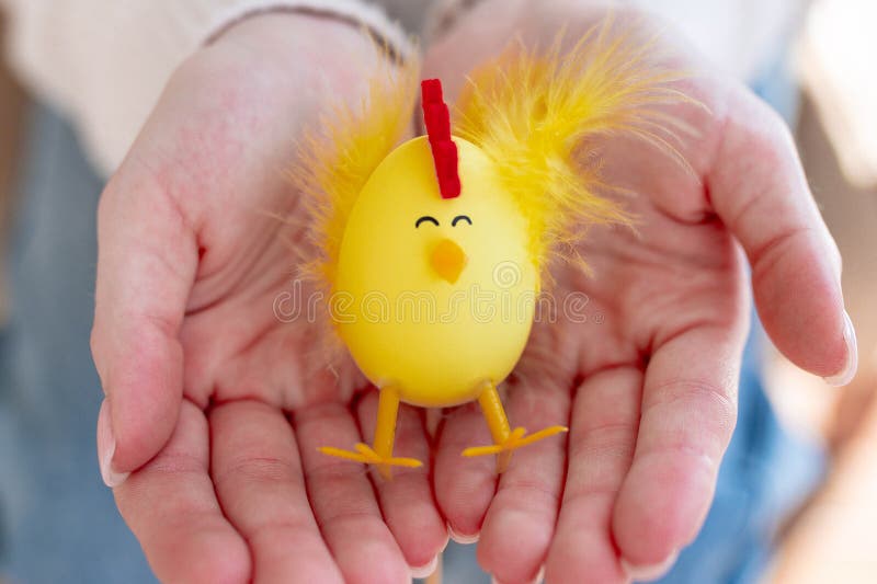 Cute Little Easter Chick Sitting in Hands Stock Image - Image of ...