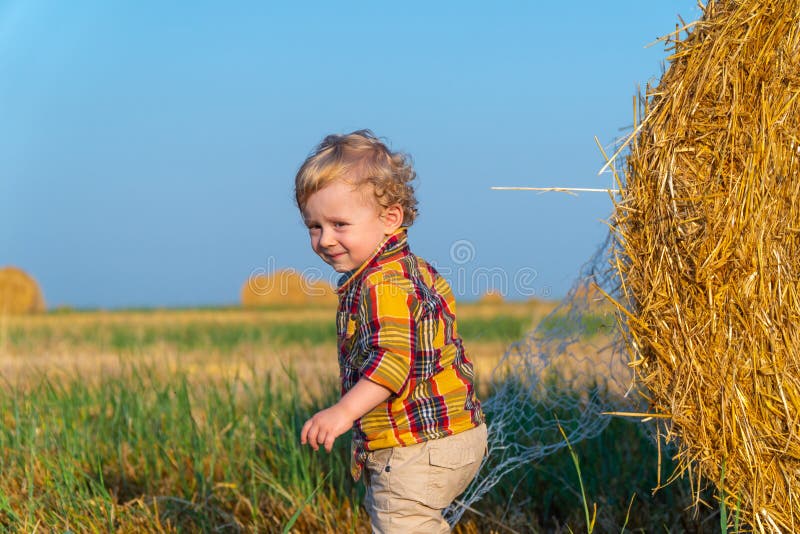 Cute Little Fair-haired Boy Playing on a Wheat Field with Bales Stock ...