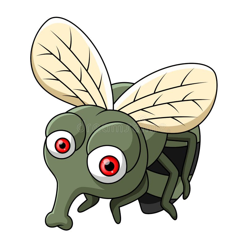 Cartoon fly stock vector. Illustration of insect, humor - 11910462