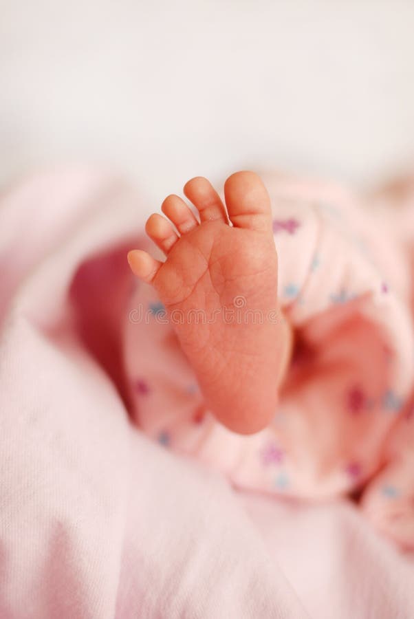 Cute little foot stock image. Image of pink, baby, tiny - 17237833