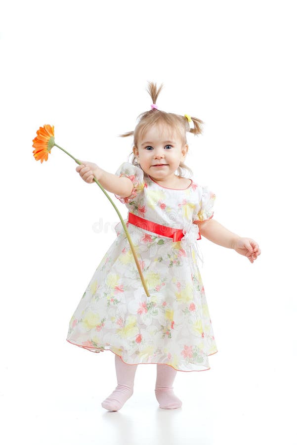 Cute Little Girl with Flower Gift on White Stock Image - Image of gift ...