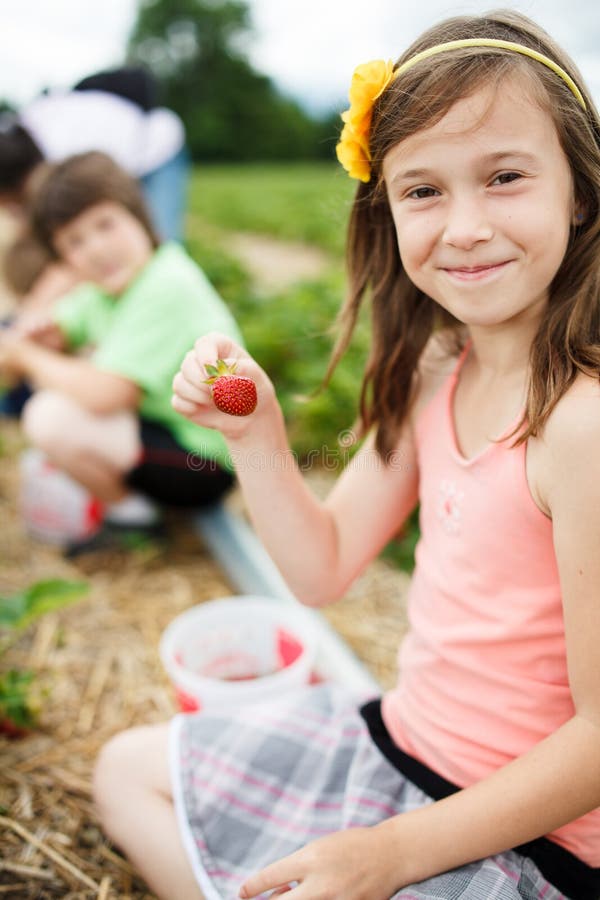 Girl picking strawberries stock image. Image of female - 30052013
