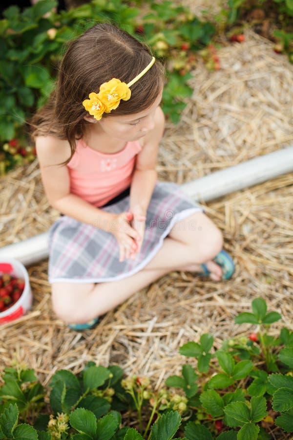 Girl picking strawberries stock image. Image of girl - 30052023
