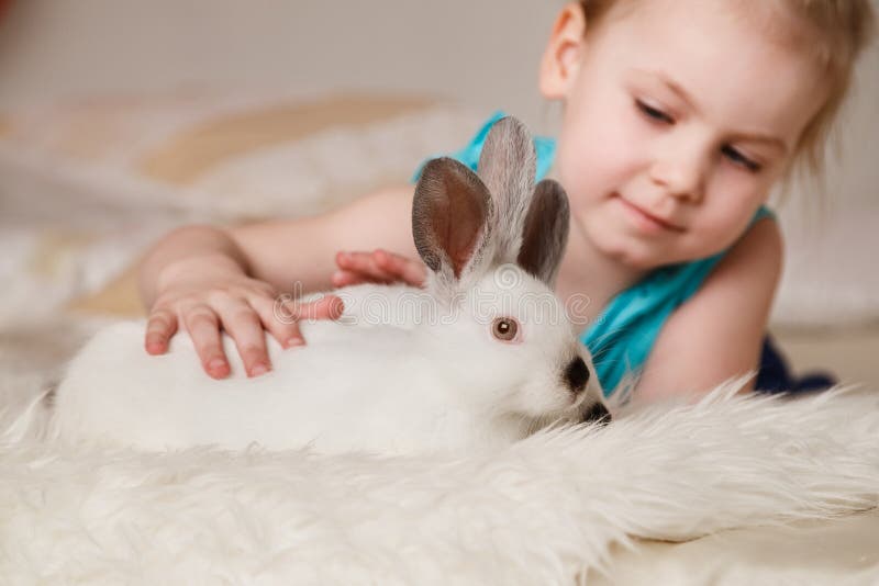 Cute Little Girl Playing with White Rabbits Stock Image - Image of ...