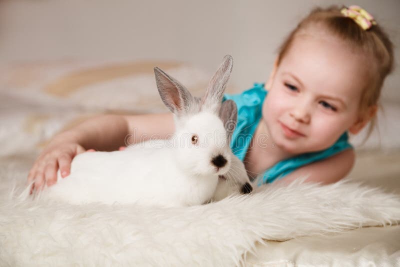 Cute Little Girl Playing with White Rabbits Stock Photo - Image of girl ...