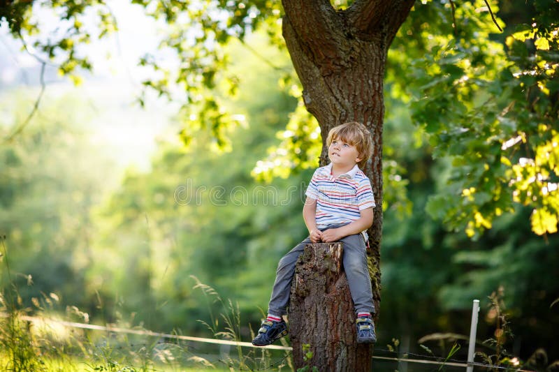 1,976 Little Cute Boy Climbing Tree Stock Photos - Free & Royalty-Free ... 1,976 Little Cute Boy Climbing Tree Stock Photos - Free & Royalty-Free ...