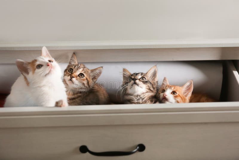 Open Drawer Stock Photos - Download 3,768 Royalty Free Photos