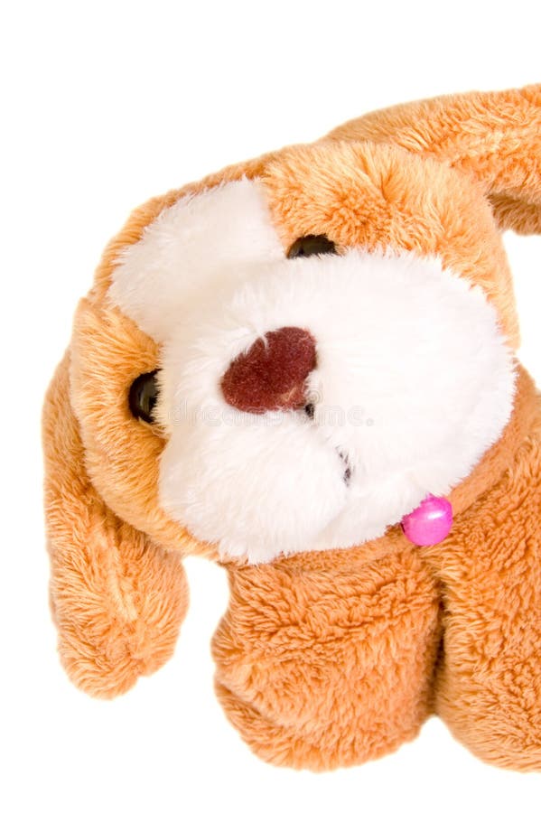 Cute Little Puppy stock photo. Image of fluffy, humour - 729756