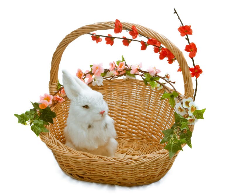 Cute Little Rabbit in Basket Stock Image - Image of furry, mammal: 13376507