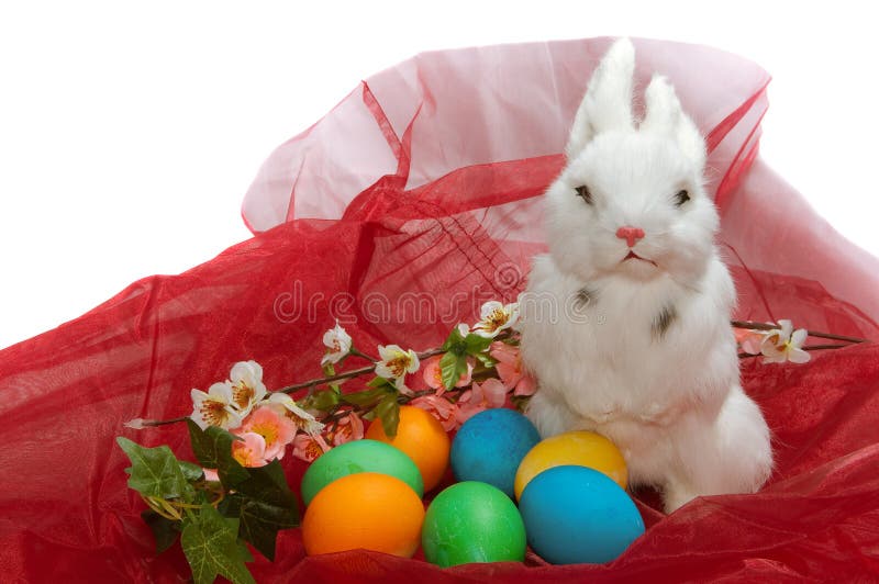 Cute Little Rabbit in Basket Stock Image - Image of furry, mammal: 13376507