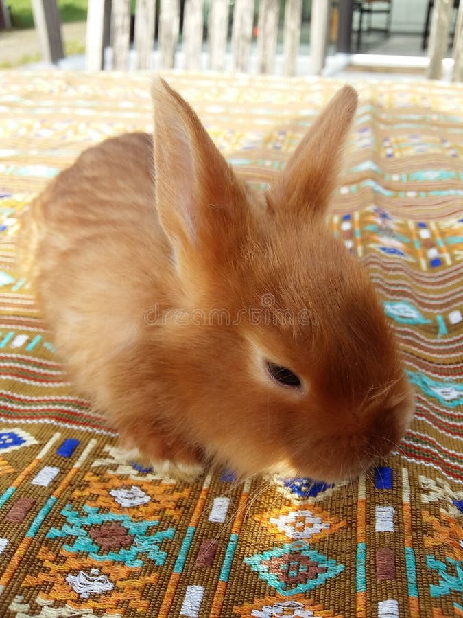 Little Red Satin Hearts on Red Glitter Texture, Valentines or Mothers ...