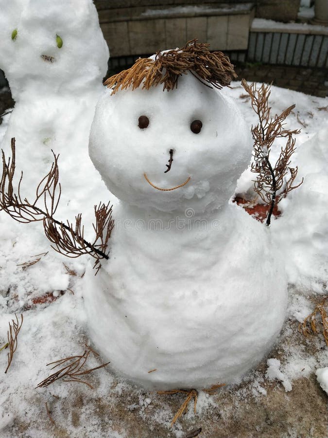 Cute little snowman stock photo. Image of little, flower - 245014976