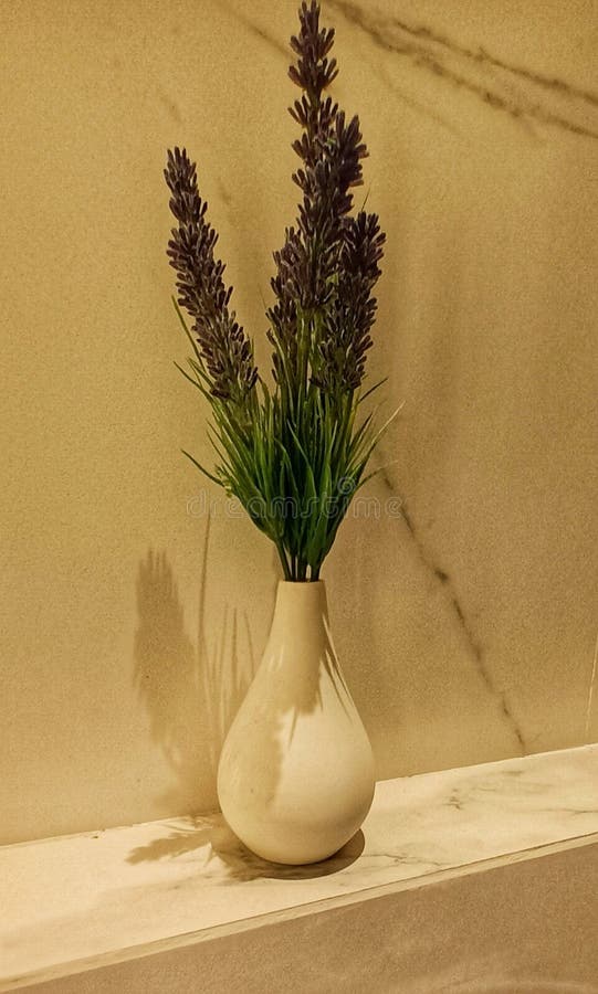 Cute Little Tree in a Beautiful Pot Stock Photo - Image of cute, little ...