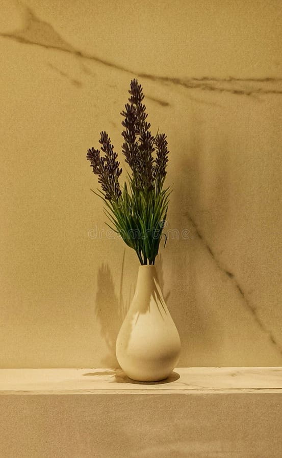 Cute Little Tree in a Beautiful Pot Stock Image - Image of beautiful ...