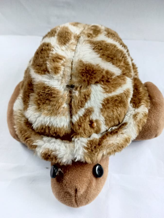 The Cute Little Turtle Doll is Brown White Stock Image - Image of brown ...