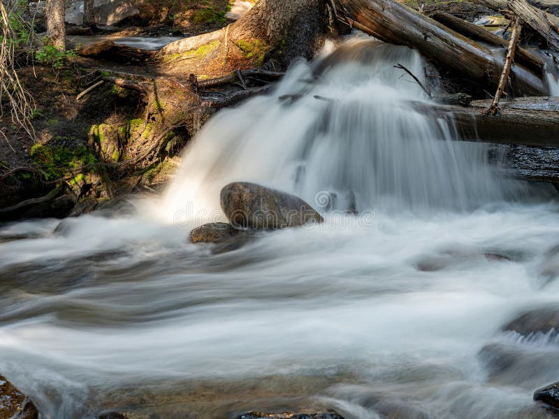 Cute Little Waterfall Under a Canopy of Forest Stock Image - Image of ...