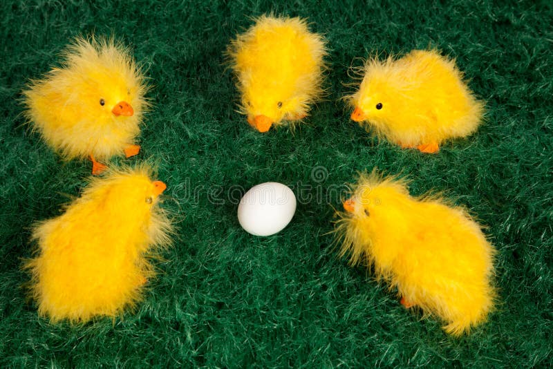 Cute Little Yellow Easter Chicks Stock Image - Image of eastertime ...