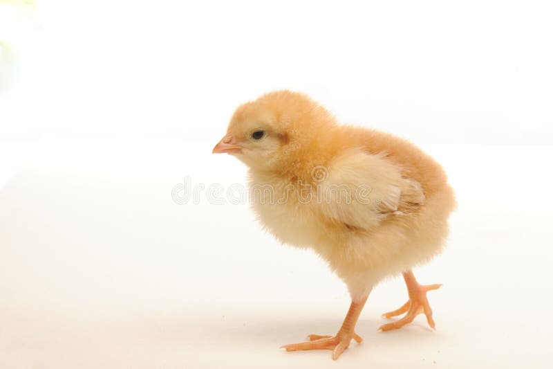 Taking the Big Steps. an Ambitious Young Businessman Taking a Large ...