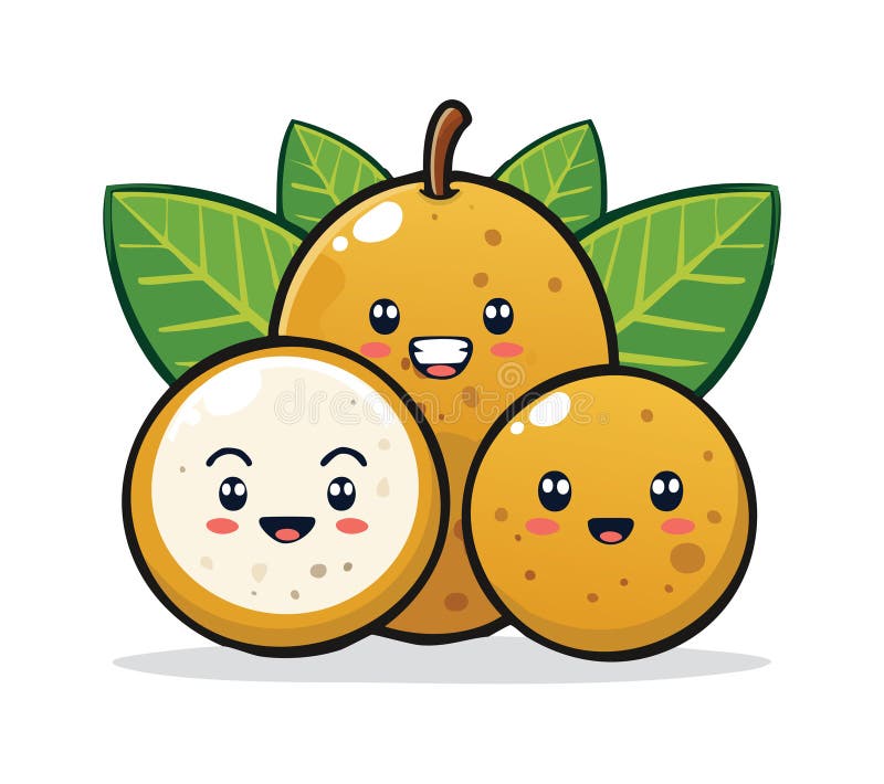 Cute Longan Fruit Illustration Stock Vector - Illustration of organic ...