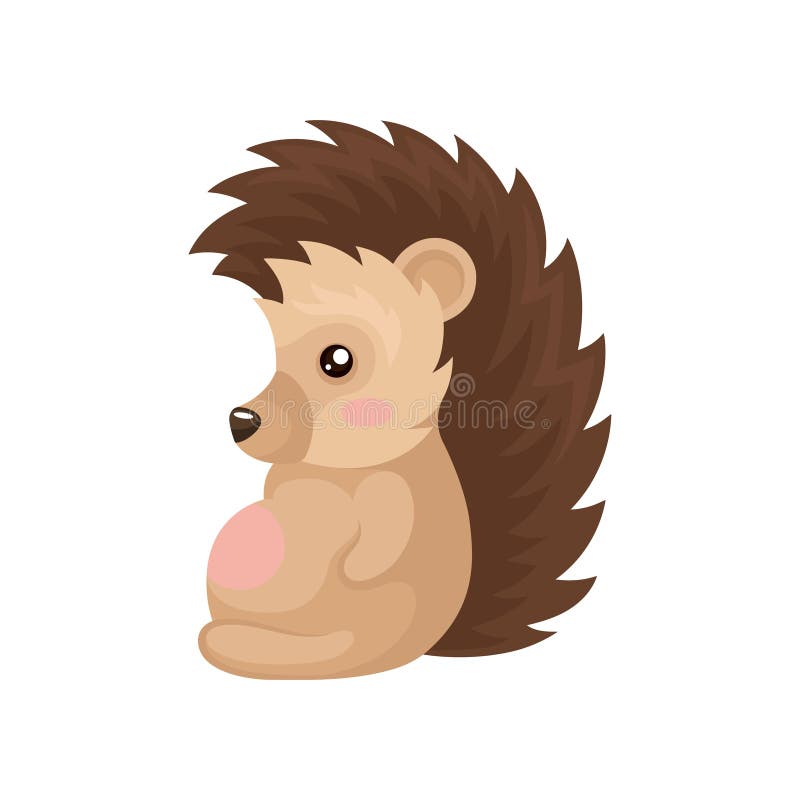 Lovely Hedgehog Prickly Animal Cartoon Character Vector Illustration on ... Lovely Hedgehog Prickly Animal Cartoon Character Vector Illustration on ...