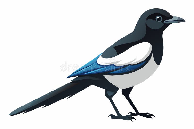 Cute Magpie Vector Art Isolated on a Clean Background Stock Vector ...