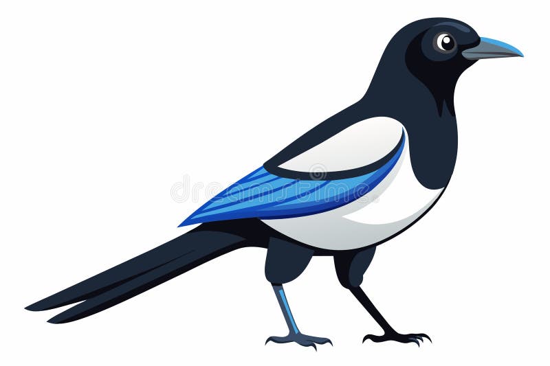 Cute Magpie Vector Art Isolated on a Clean Background Stock Vector ...