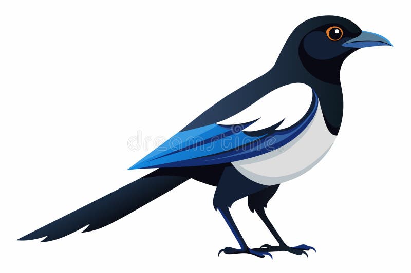Cute Magpie Vector Art Isolated on a Clean Background Stock Vector ...