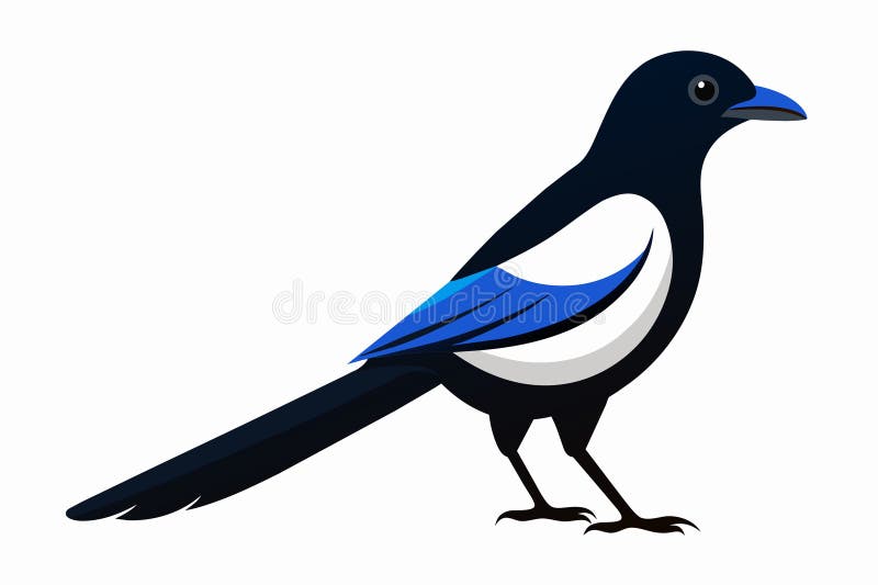 Cute Magpie Vector Art Isolated on a Clean Background Stock Vector ...